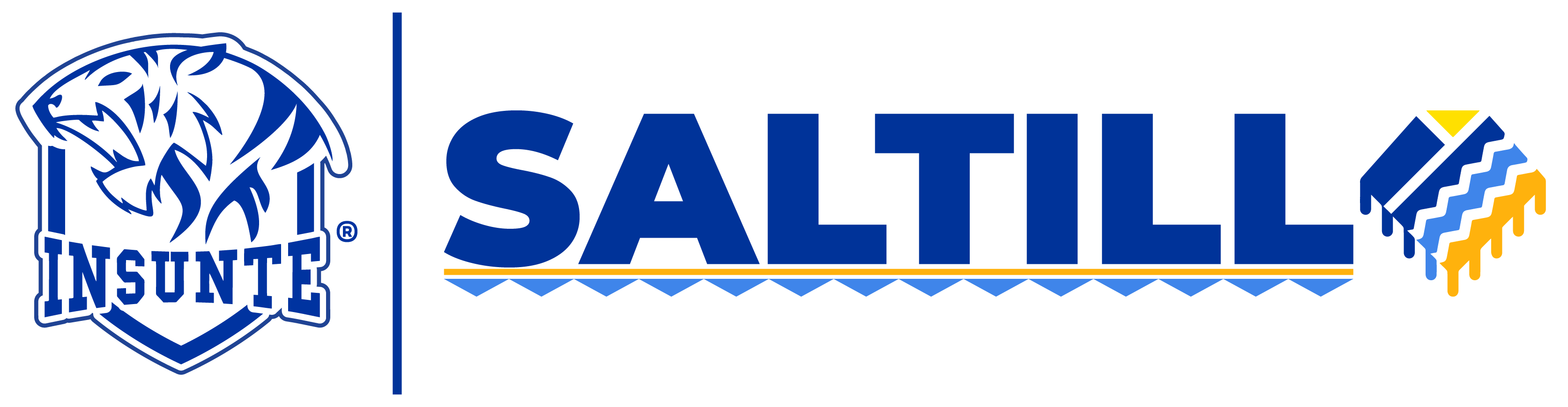 INSUNTE | Universidad