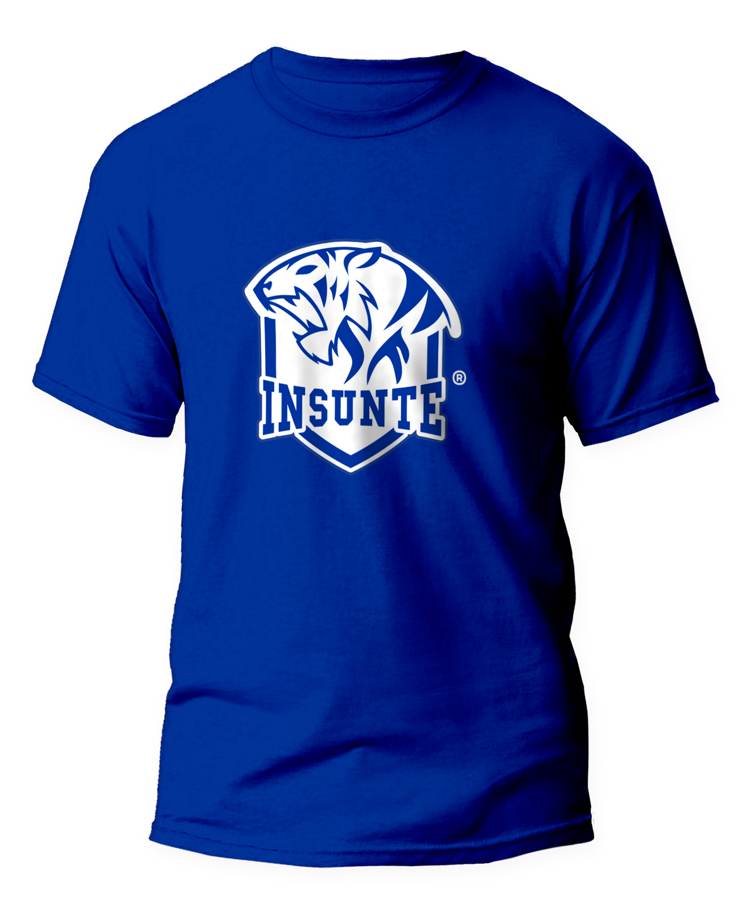 Tienda INSUNTE – INSUNTE Universidad